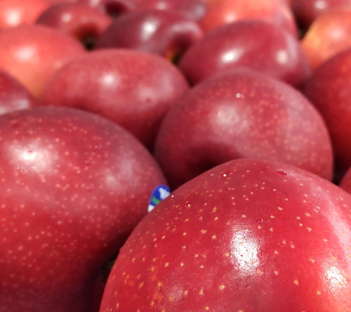 Buy Fresh Apples Online | Jackson Orchards | Delivered NZ Wide!