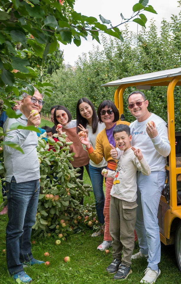 Tours– Jackson Orchards