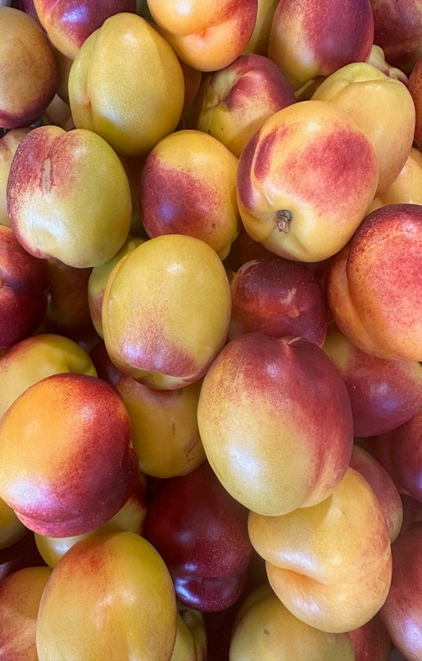 Buy Ruby Diamond Nectarines Online | Jackson Orchards