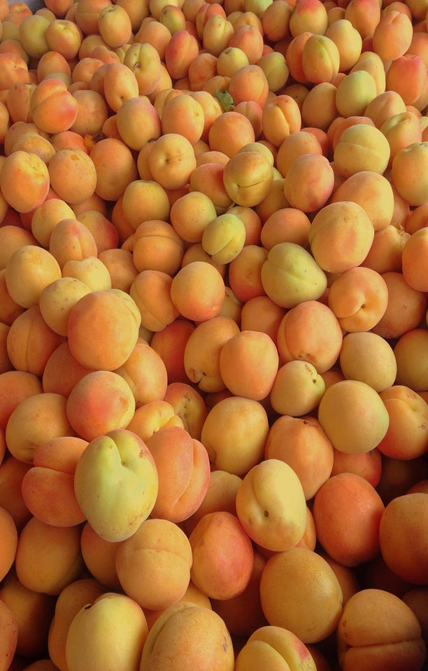Buy Fresh Apricots Online | Jackson Orchards | Delivered NZ Wide!