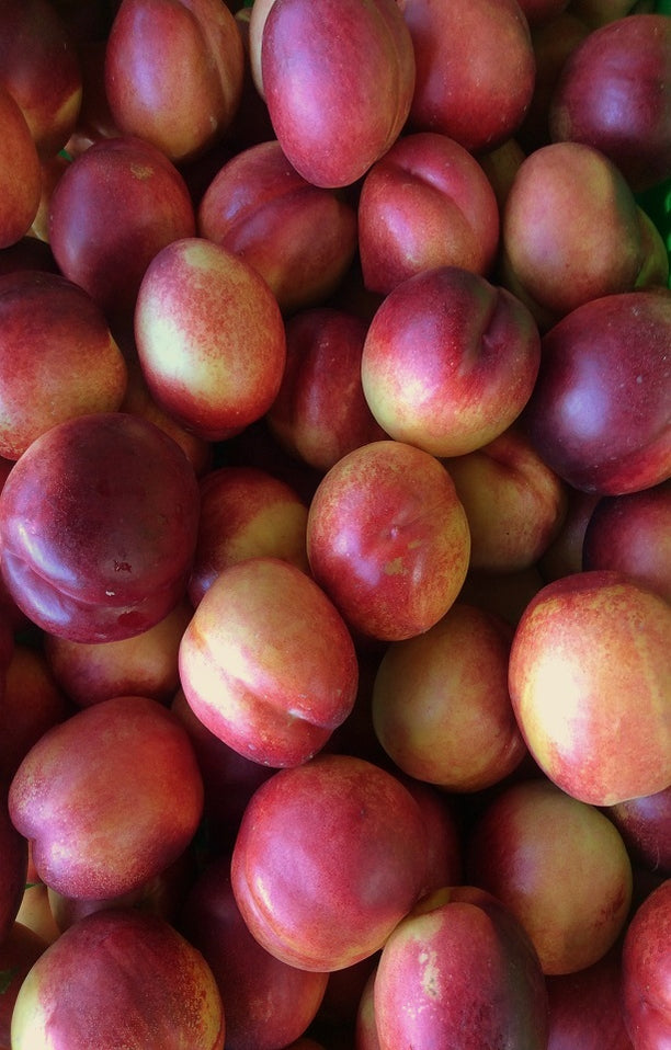 Buy Fresh Nectarines Online | Jackson Orchards | Delivered NZ Wide!